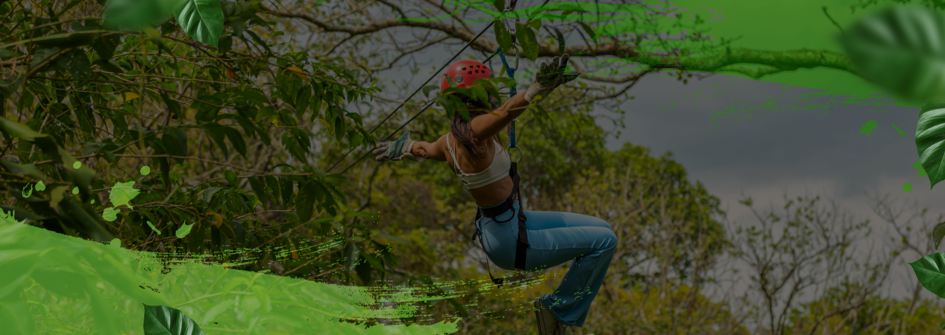 CANOPY TOUR - Cafe Las Flores