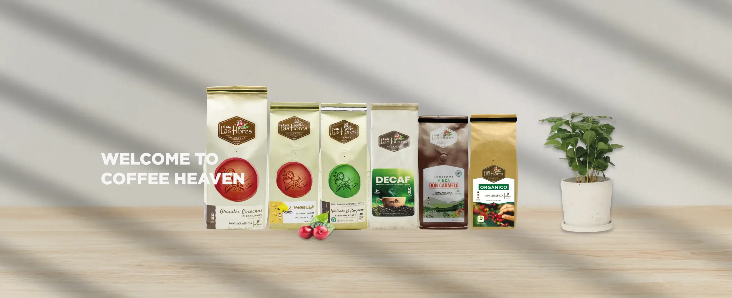 Booking: Sendero El Puma - Cafe Las Flores